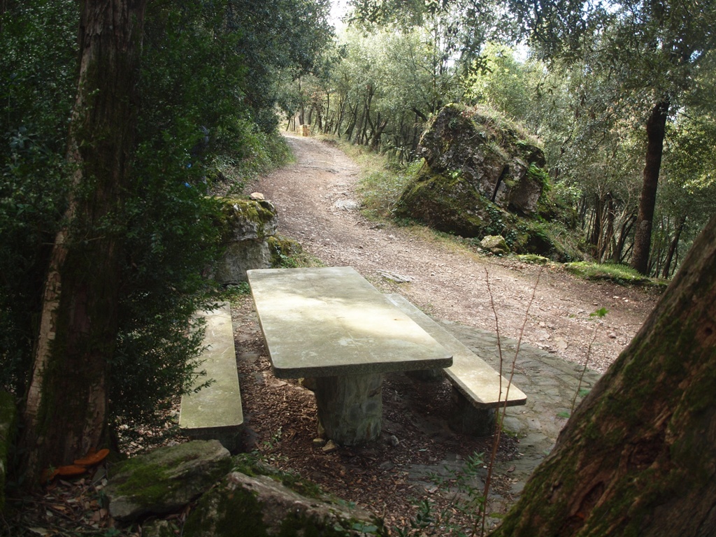 SOM DE PÍCNIC: Àrea de pícnic Font Fresca, Aiguafreda, Vallès Oriental