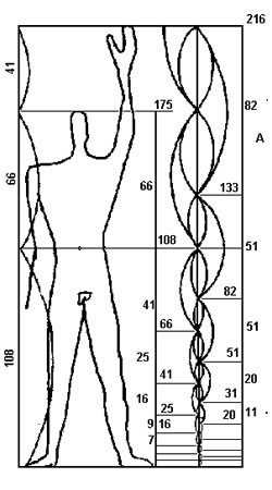 Expresión Gráfica 2 Taller Gamboa: El Modulor