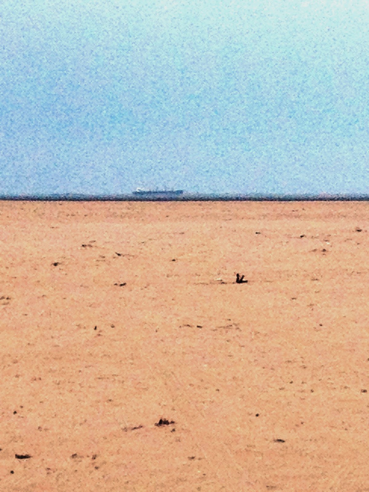 Desert Girl on Kuwait: Camping in Bahaitha (Near Umm Qasr Port in ...