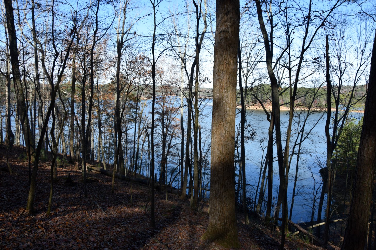 Using Georgia Native Plants: Red Top Mountain State Park