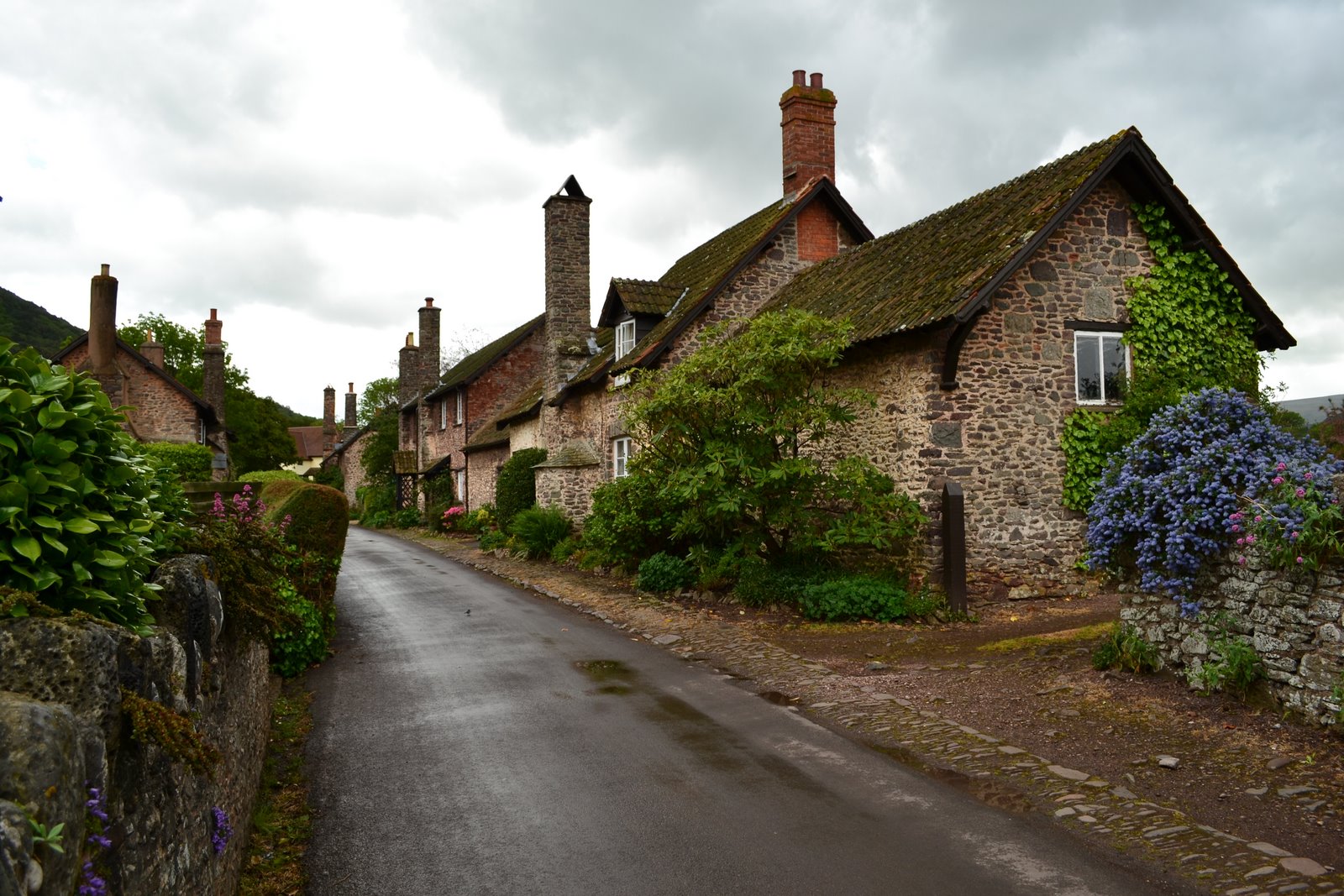 Helsie's Happenings: BEAUTIFUL DEVON - or should I say Somerset?