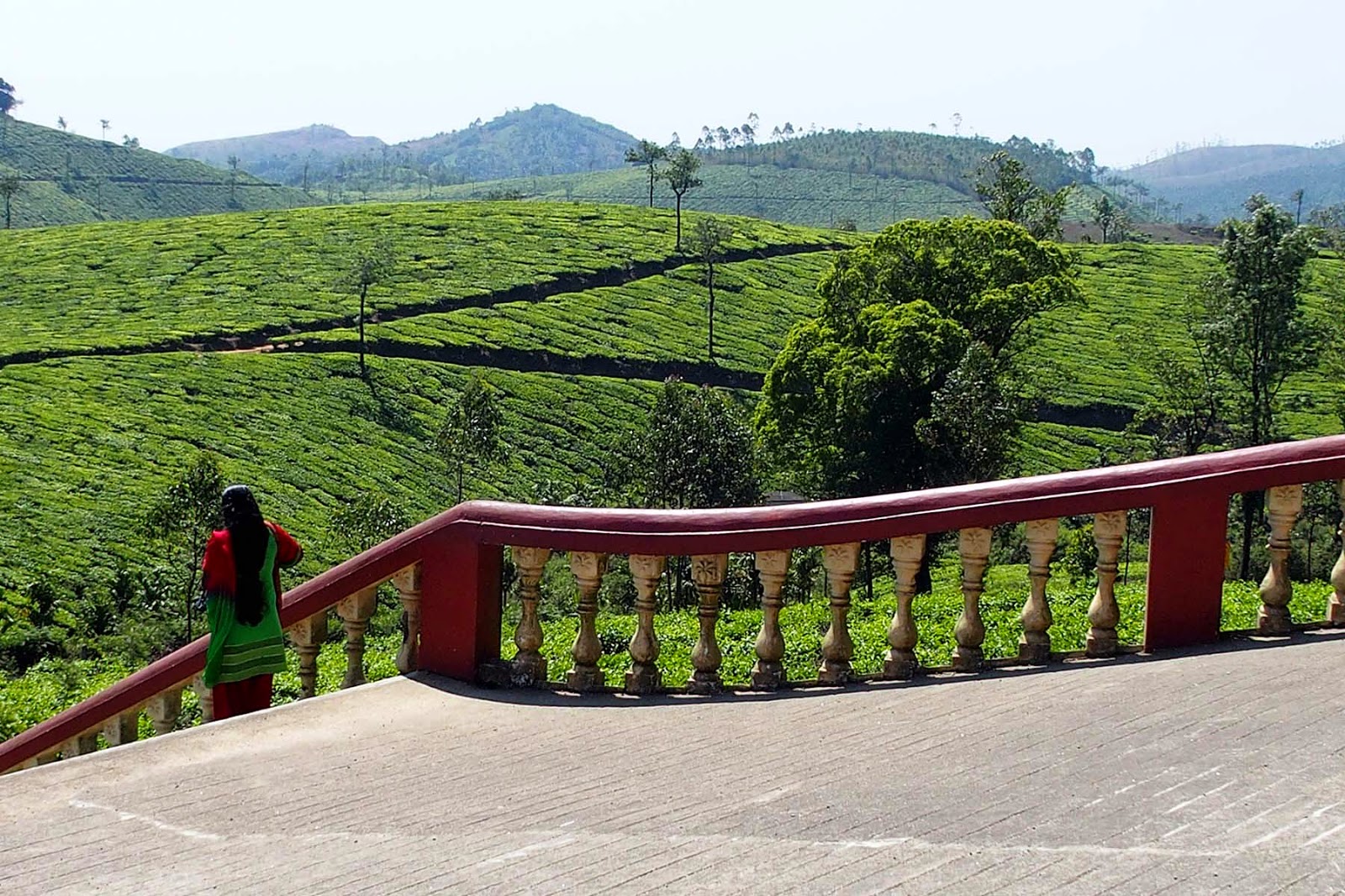 Inde du Sud 01•15: J10, 22 janvier, de Periyar à Teekoy