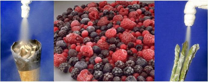 Criogenia: Criogenia