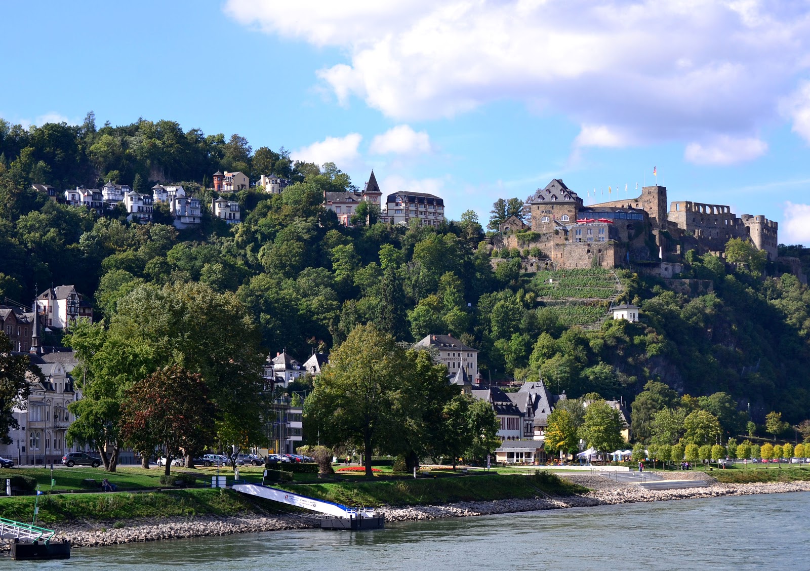 Voyage on the castled Rhine