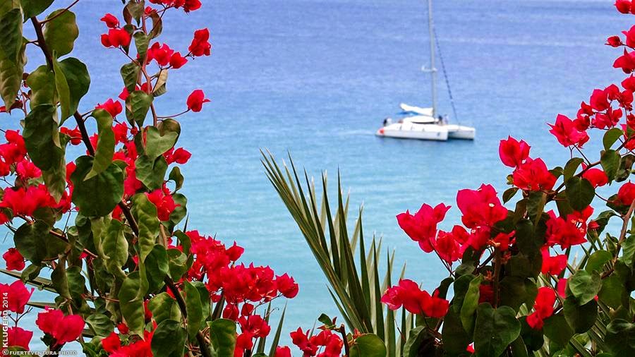 Traviator - "inspired by travel" : În căutarea verii de la Tropicul ...