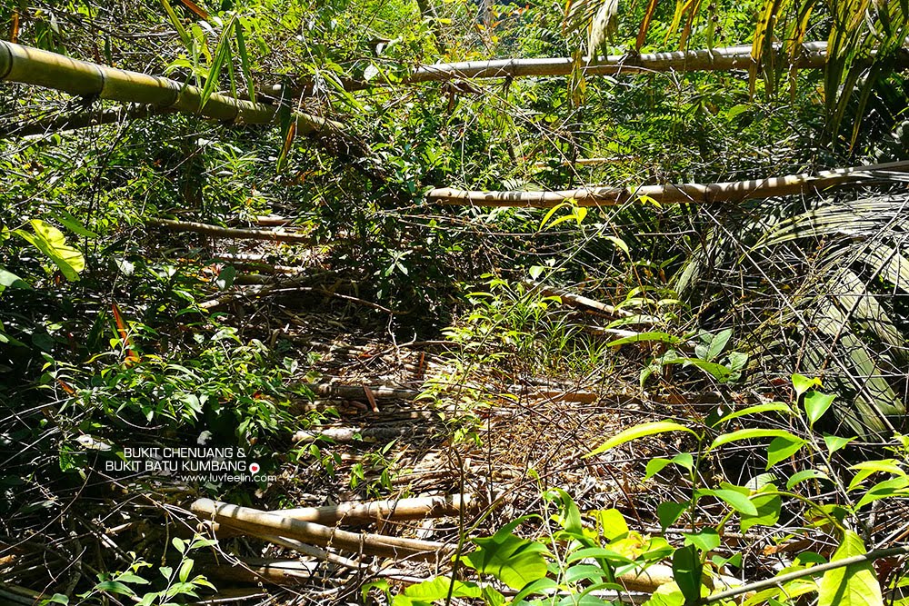 Trans Bukit Chenuang + Batu Kumbang 跨越双峰拥抱 180 度完美视野 - 乐飞翎 ♥ LUVFEELIN