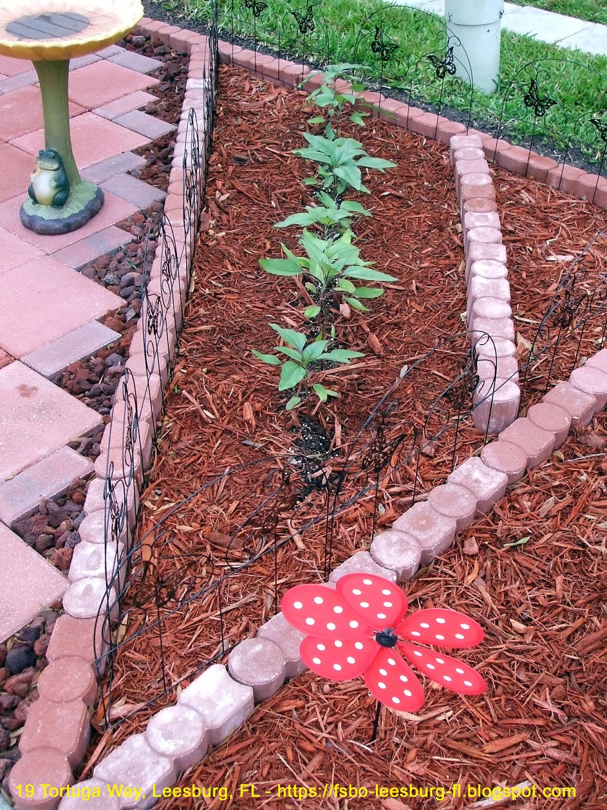 Julie Ann Brady : Blog On: Creating Curb Appeal in Side Yard