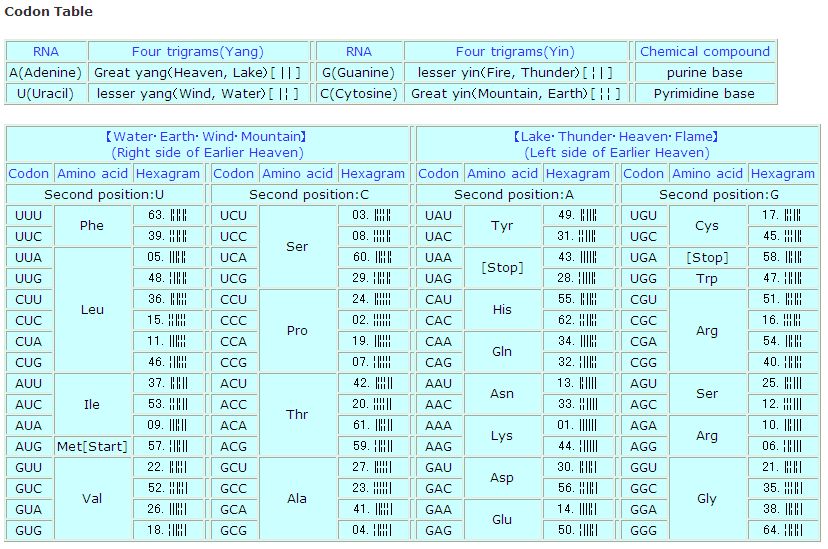 Life Navigation System: Codon table and I Ching