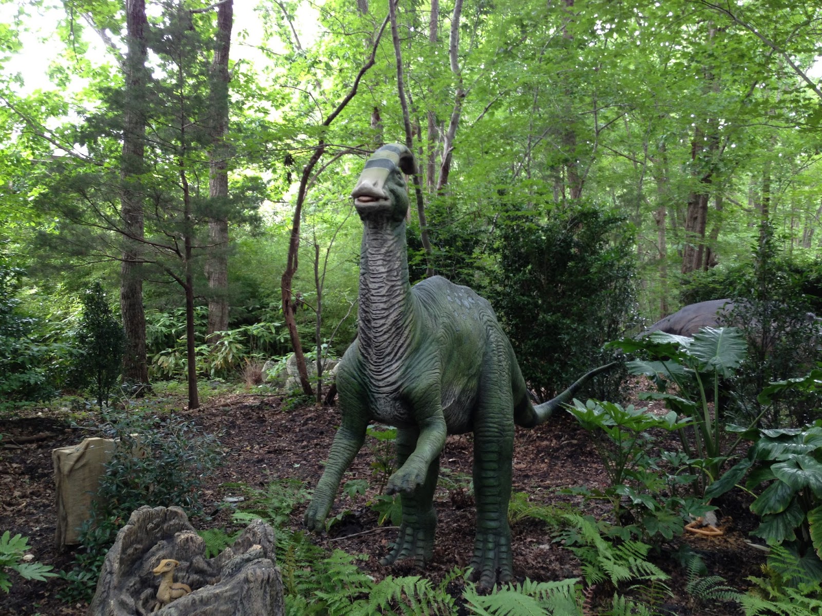 LivelyRV: North Carolina Zoo Visit