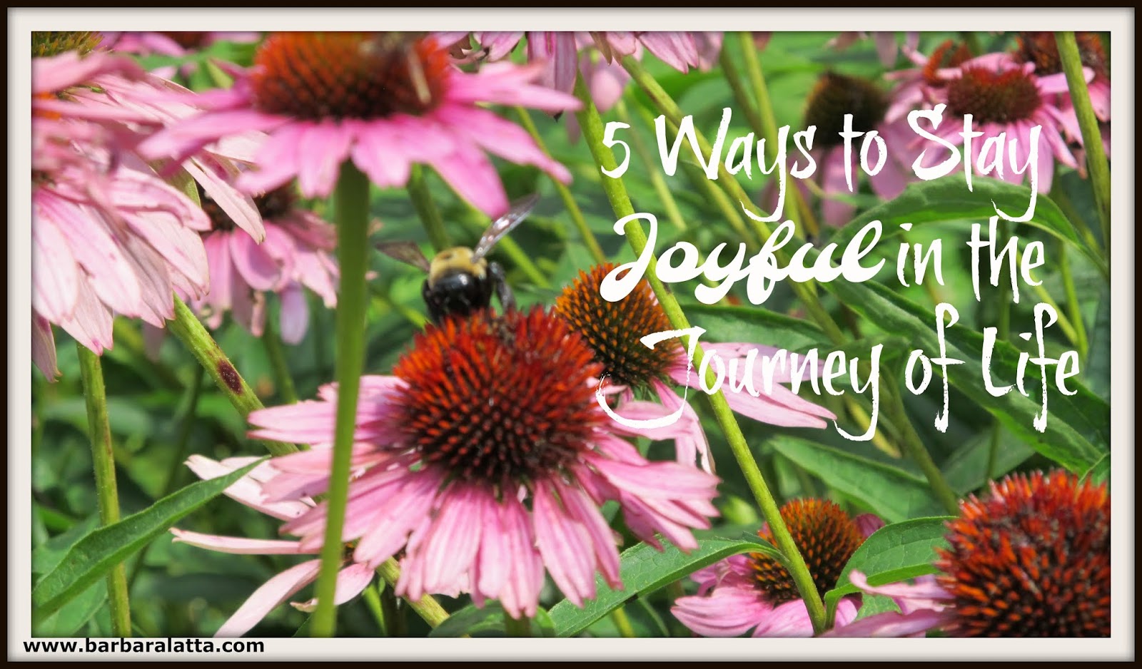 Navigating Life's Curves : 5 Ways to Stay Joyful in the Journey of Life