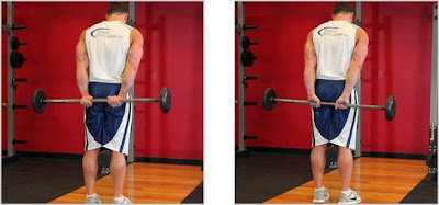 5 Best Phil Heath Forearm Workout - Body Building Craze