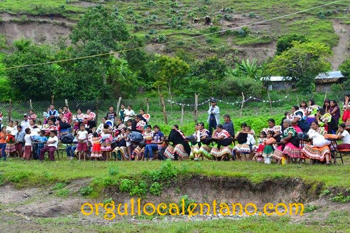 Soy de Tierra Caliente: Los grupos indígenas parte de nuestra historia