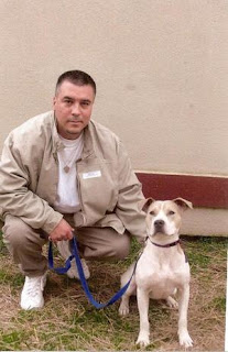 Hello USA: matthew heikkila