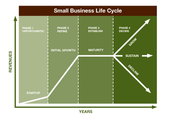 Business Studies: Business Studies Preliminary course