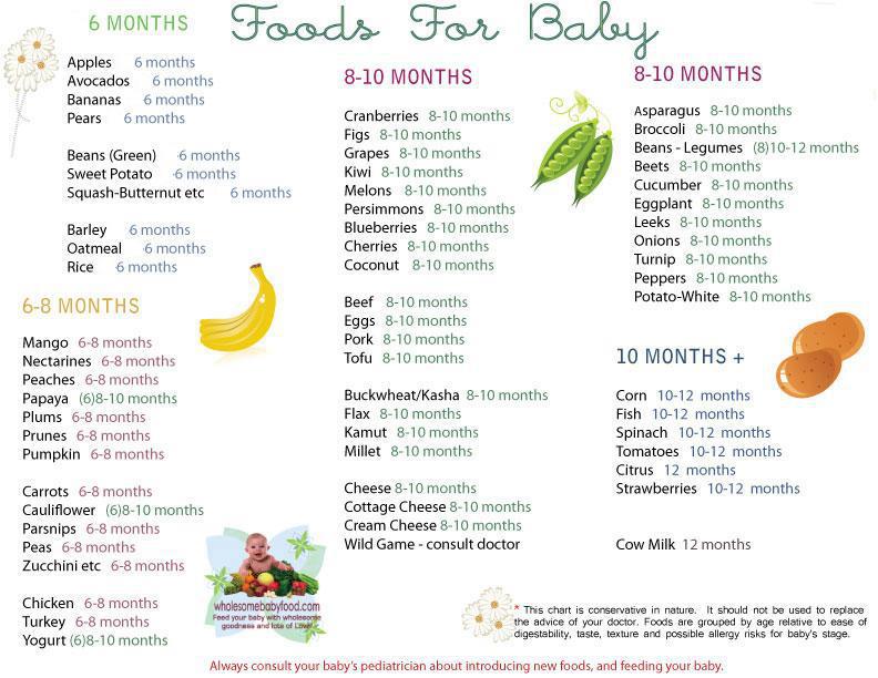 10 RESEPI MAKANAN UNTUK BAYI 6 BULAN YANG MUDAH