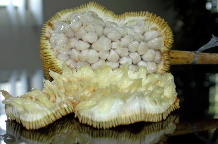 SOCCSKSARGEN: Foods to die for in Region 12