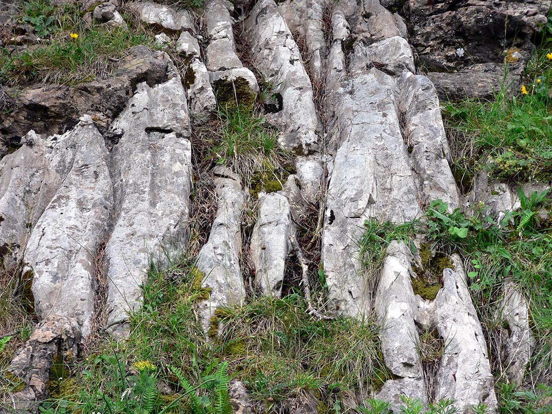CURIOSIDADES CIENTÍFICAS : Lenares o Lapiaces