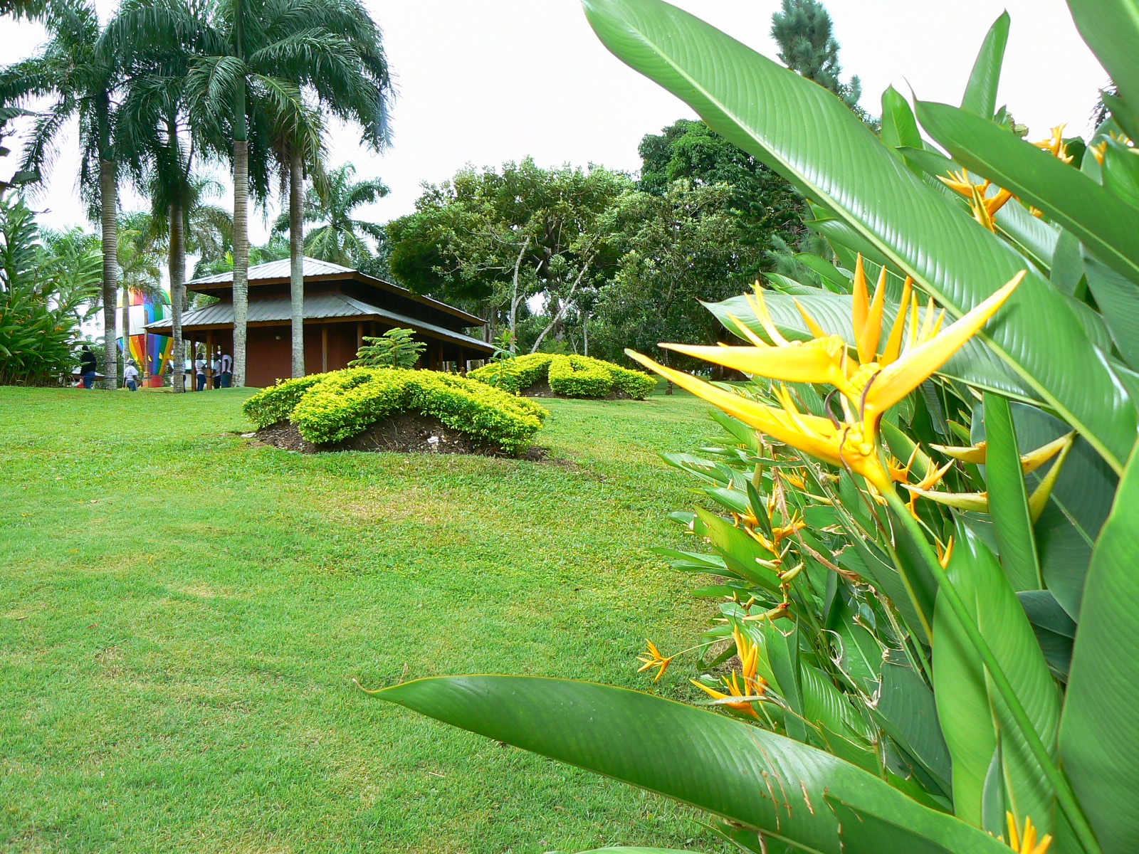 Estancia La Cuaba, presentó renovadas instalaciones