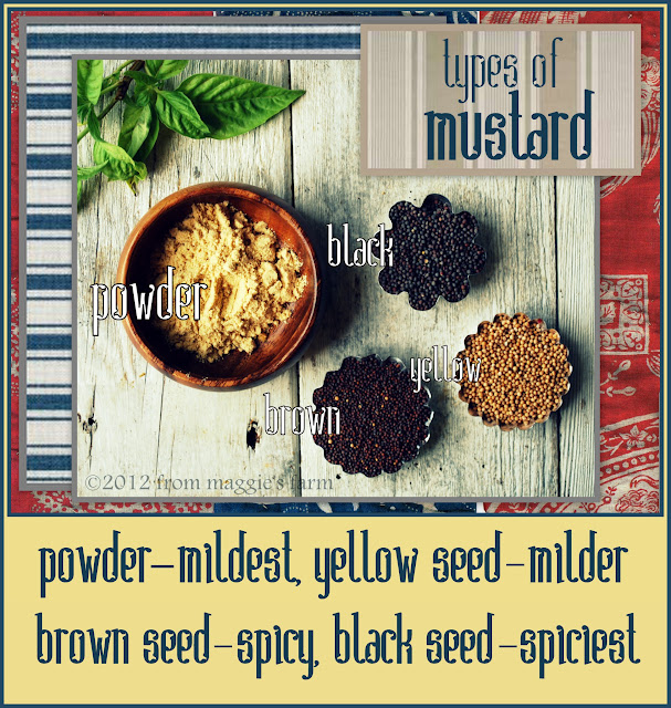 Notes from Maggie's Farm: putting food by: basil malt spicy mustard