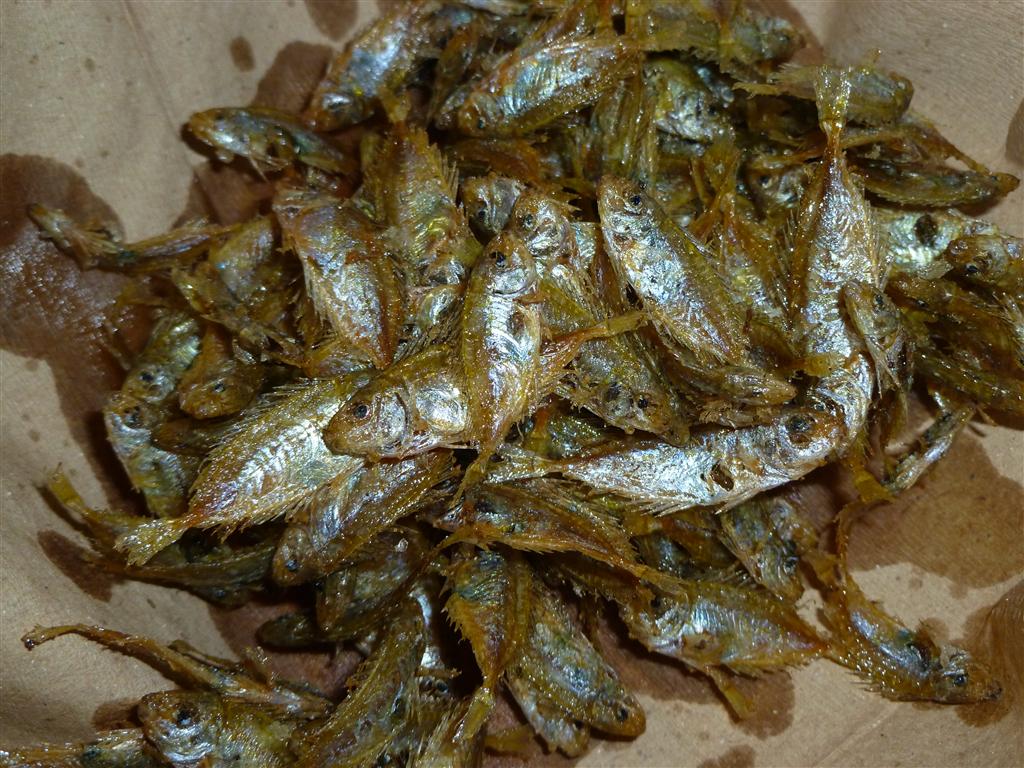 BBQGuam: Deep Fried Manahak (Guam Juvenile Rabbit Fish)