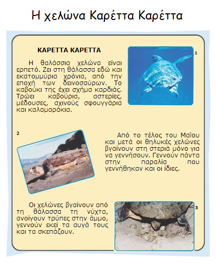 Να σου πω τι έμαθα...: Η χελώνα Καρέτα-Καρέτα
