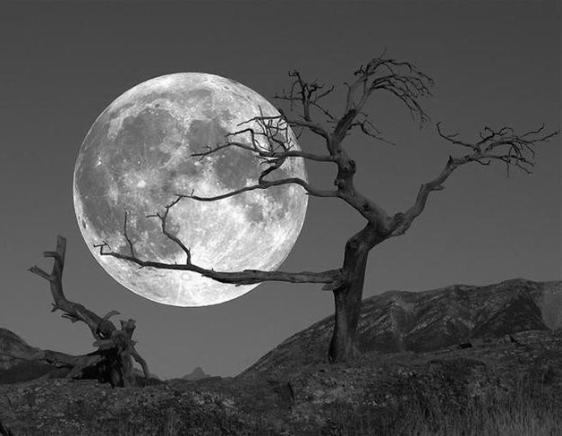 20+ Beautiful Sun & Moon Photographs - The World Of Photography