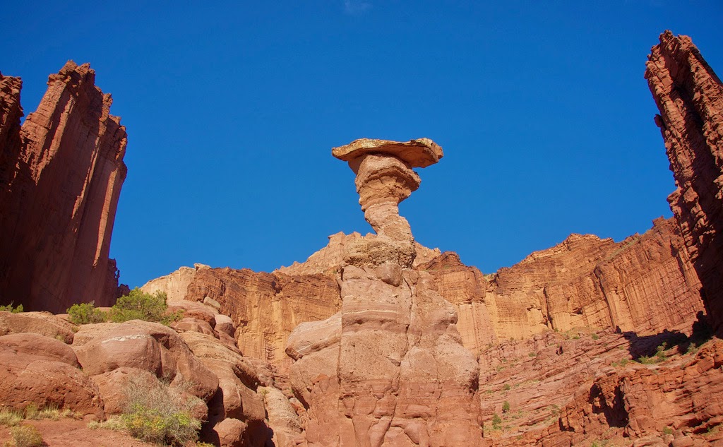 wonderful AMERICA: make a good reascher, write research for your boss