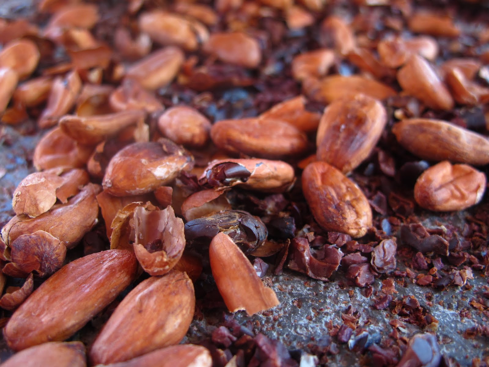 Cooking with Cacao in Belize