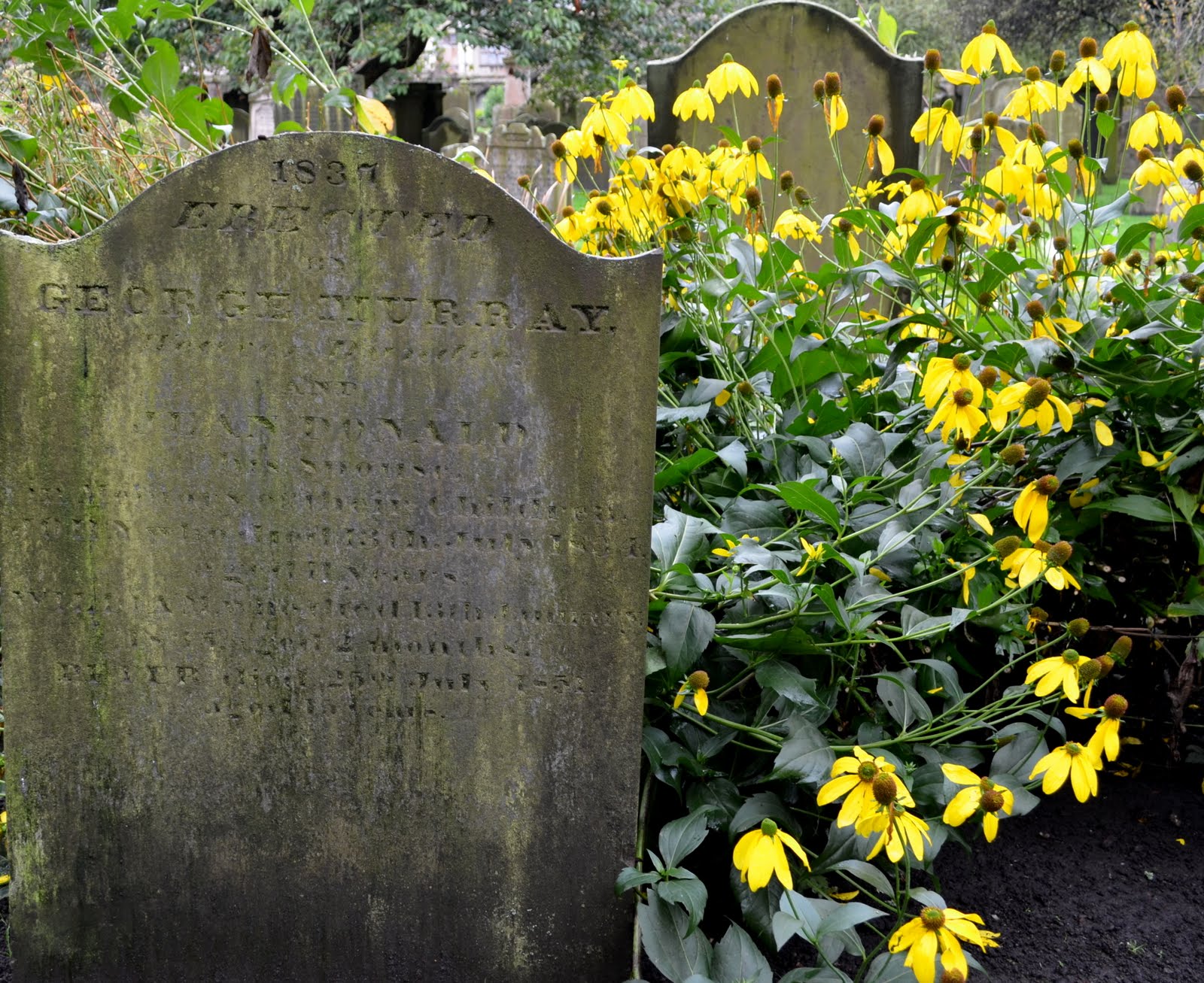 Tour Scotland: Tour Scotland Photographs Howff Graveyard Dundee October 2nd