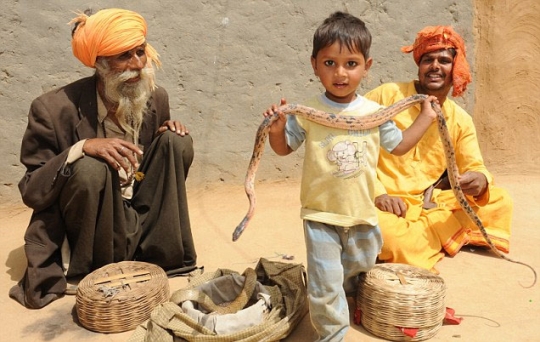 Childrens Play With Snakes : Amazing Photos