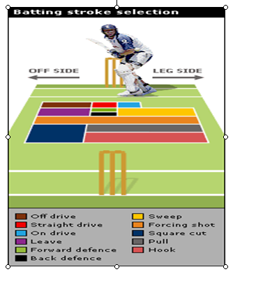Cricket Tips and Tutorial - How to: Choosing the Appropriate Shots