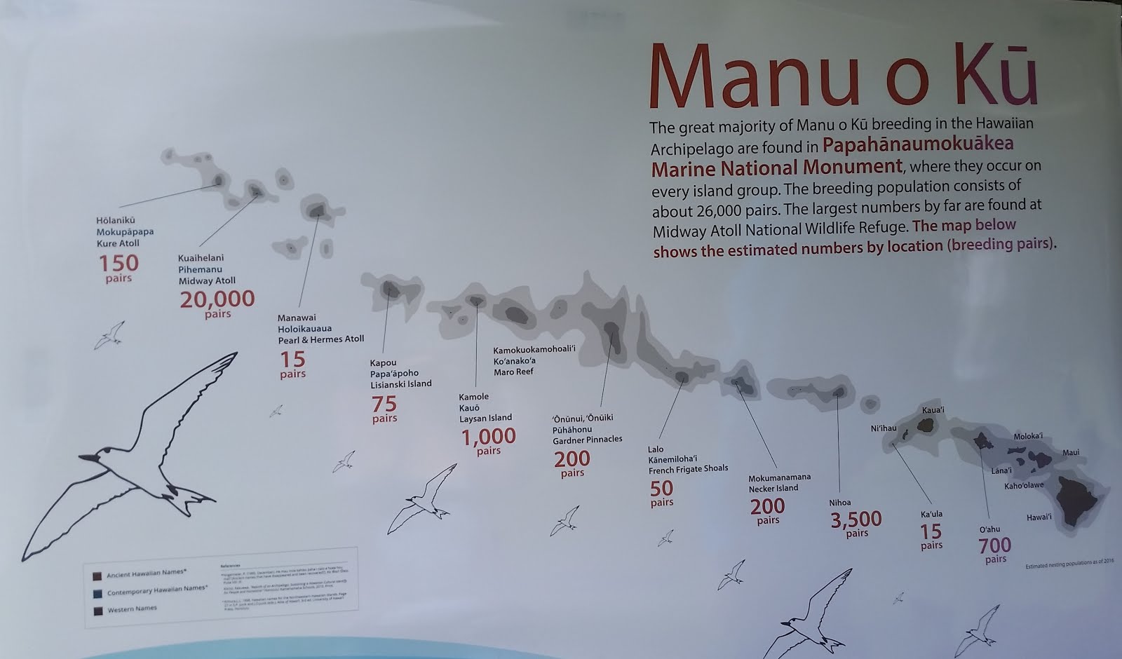 My Summer Vacation: Manu o Ku Festival