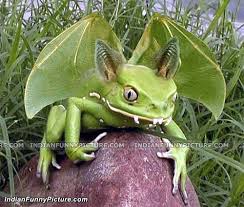 BearsharktopusD20: Demon Frog