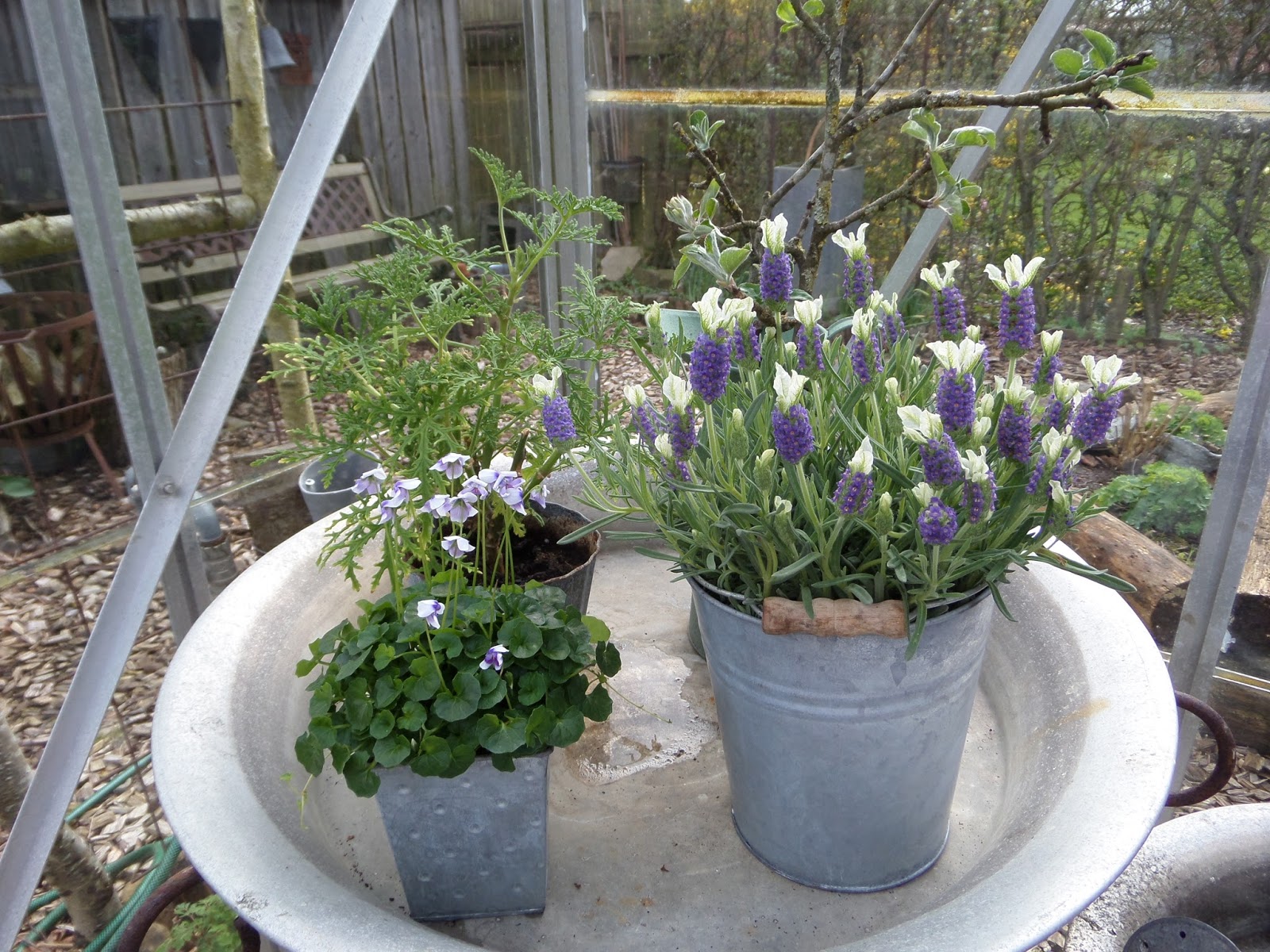 Heidis Have: Inspireret af regnen..