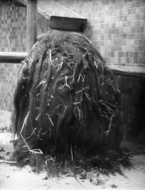 i heart photograph: Jochen Lempert