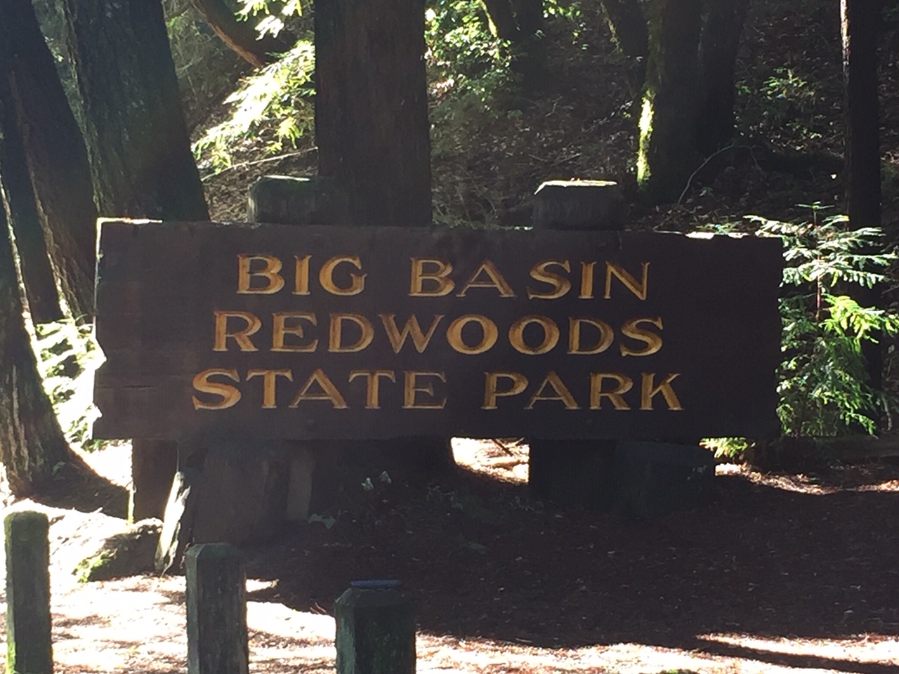 beware late night thinking: Big Basin Redwoods State Park