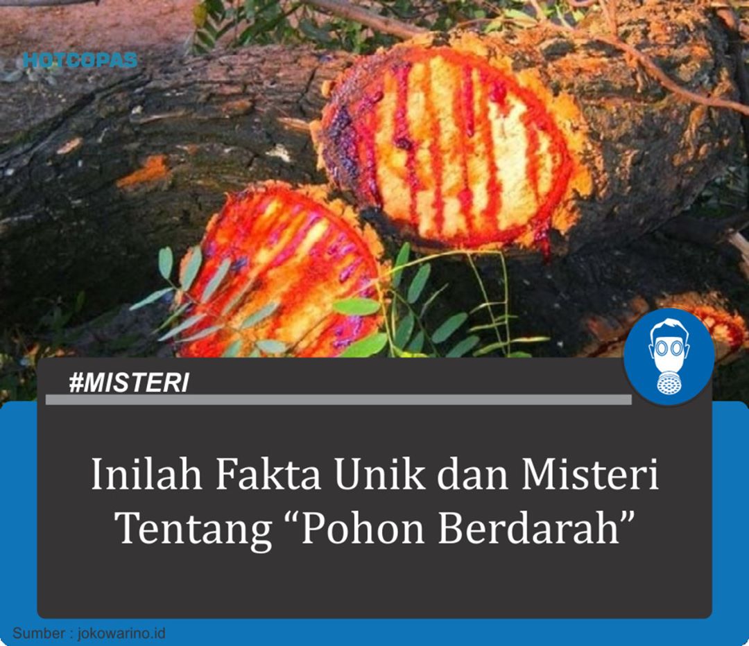 Inilah Fakta Unik dan Misteri Tentang Inilah Fakta Unik dan Misteri Tentang