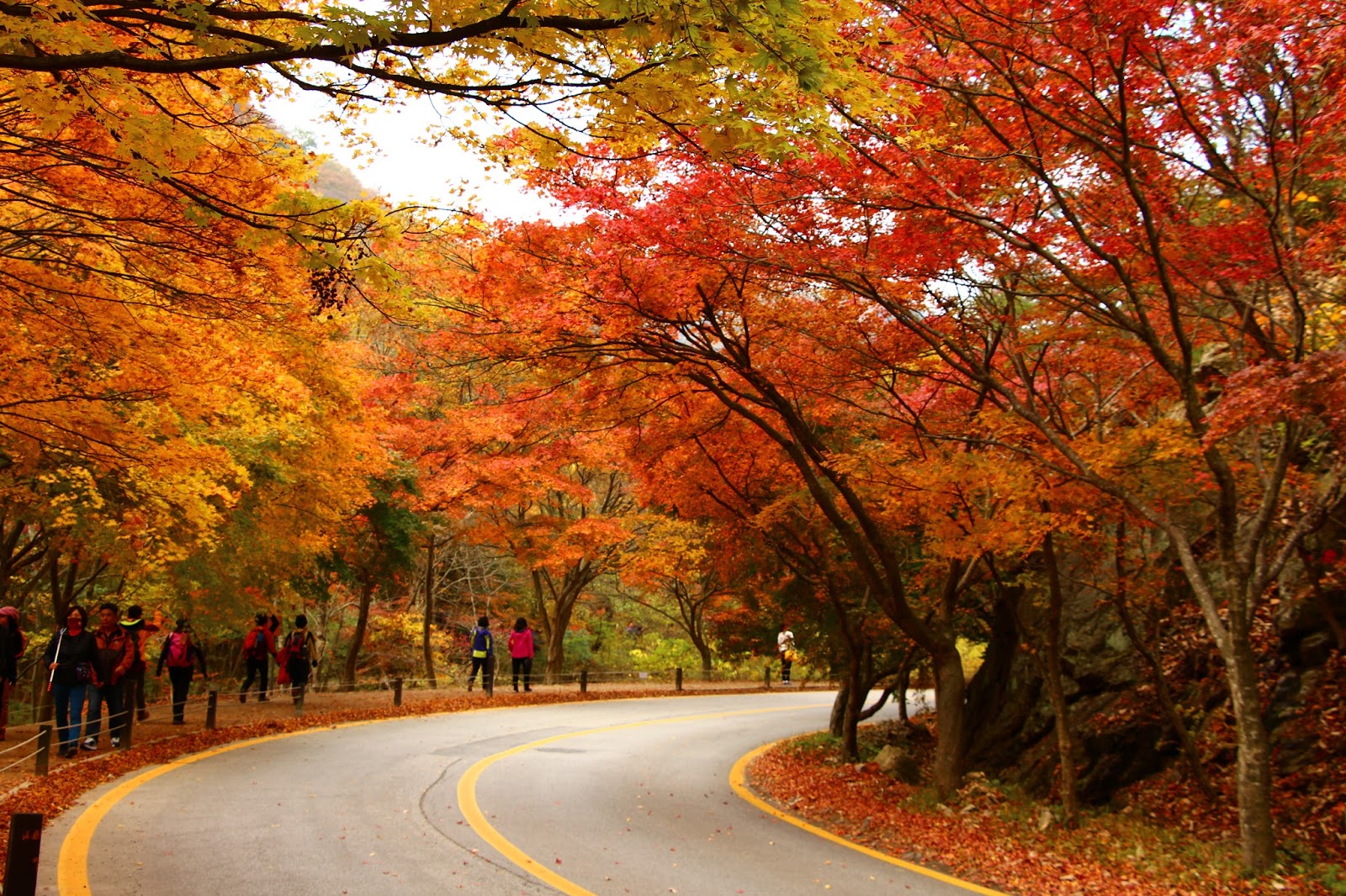 SECAWAN COFFEE: SANTAI MUSIM LURUH KOREA 2015 - PART 2 - ITIRENARY ...