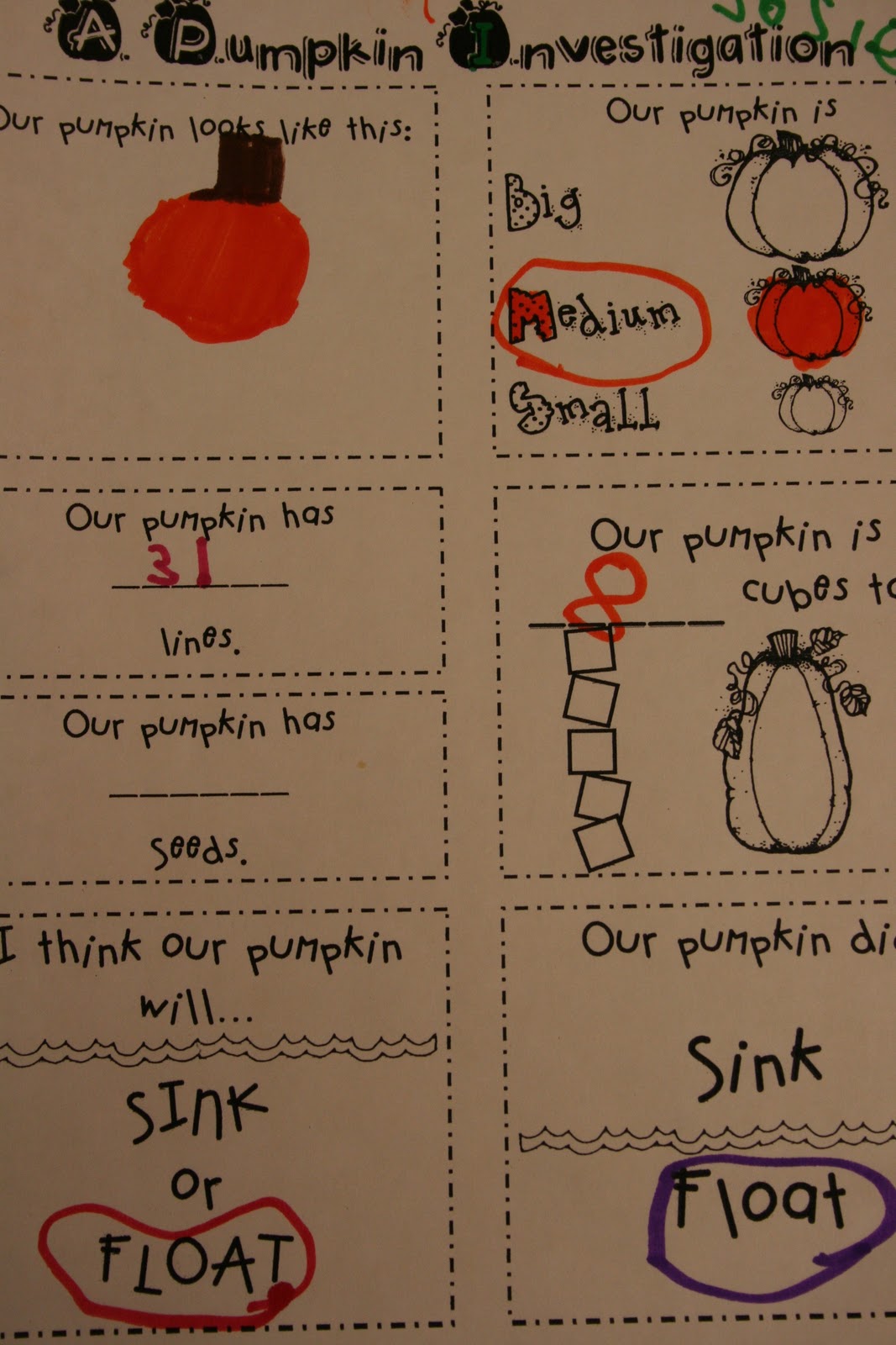 Mrs. Lee's Kindergarten: Pumpkins