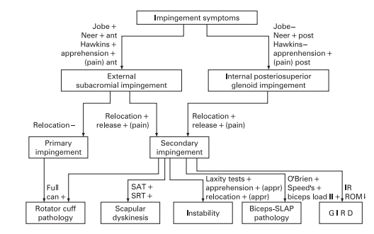 What is Shoulder Symptom Modification Procedure? - Bullet Proof Bodies