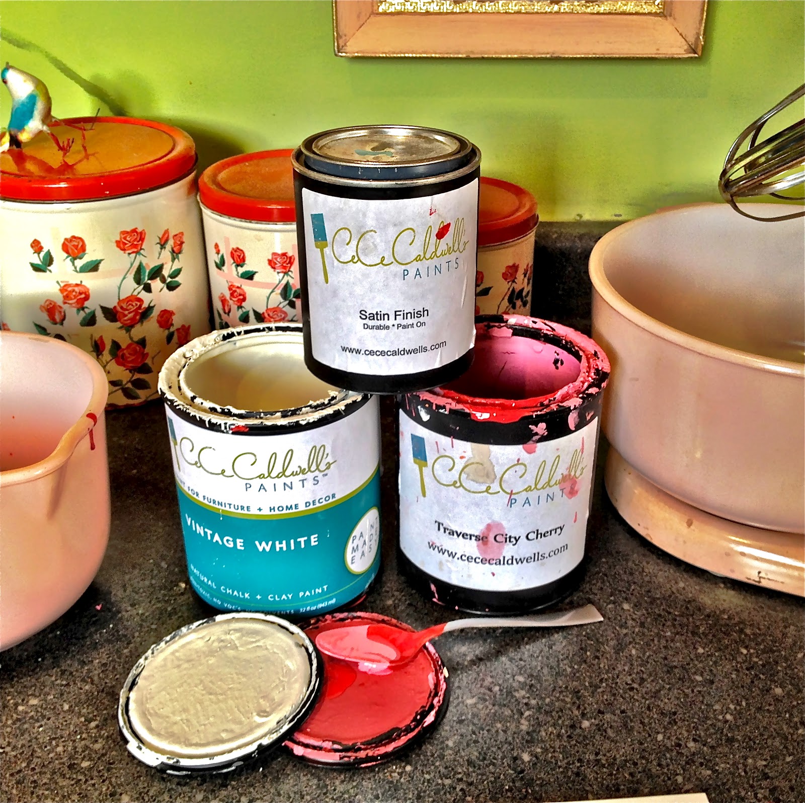 Debi's Design Diary inside the life of a wanna-be TV host: paint your ...