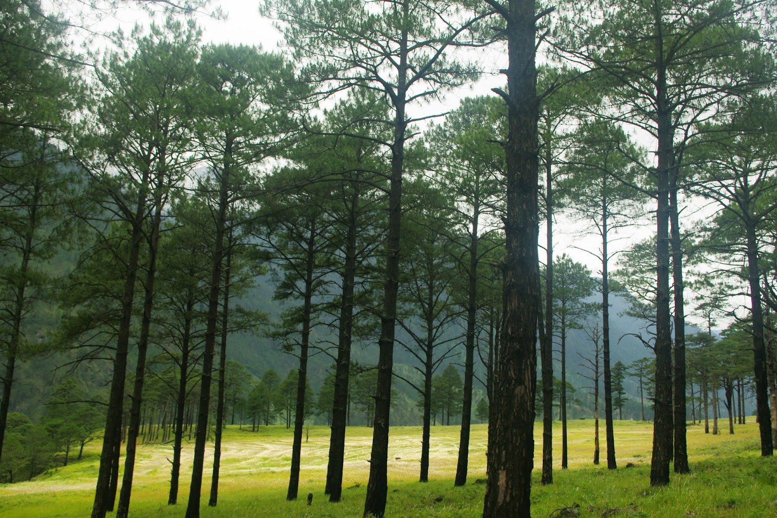 Dong: Where the suns rays first reach India