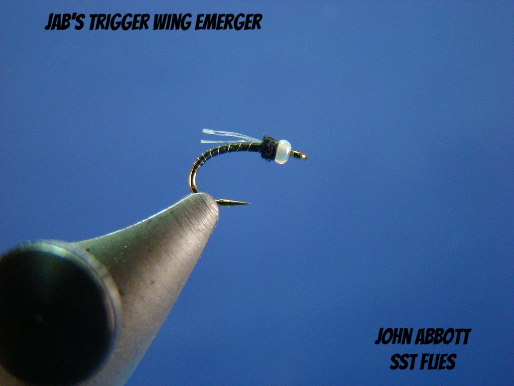 SST Flies: Salmon Steelhead and Trout Fly Tying: JAB's Trigger Wing ...