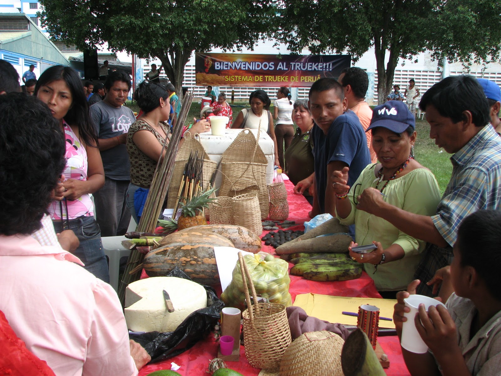 RED NACIONAL DE SISTEMAS DE TRUEKE: LA HISTORIA DE LOS SISTEMAS DE ...