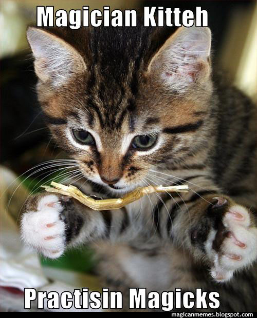 Magic Memes: I can has magik?