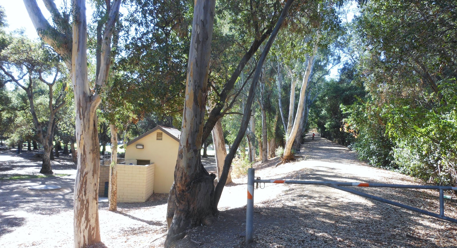 1000 Hikes in 1000 Days: Day 698: San Dimas Canyon Park