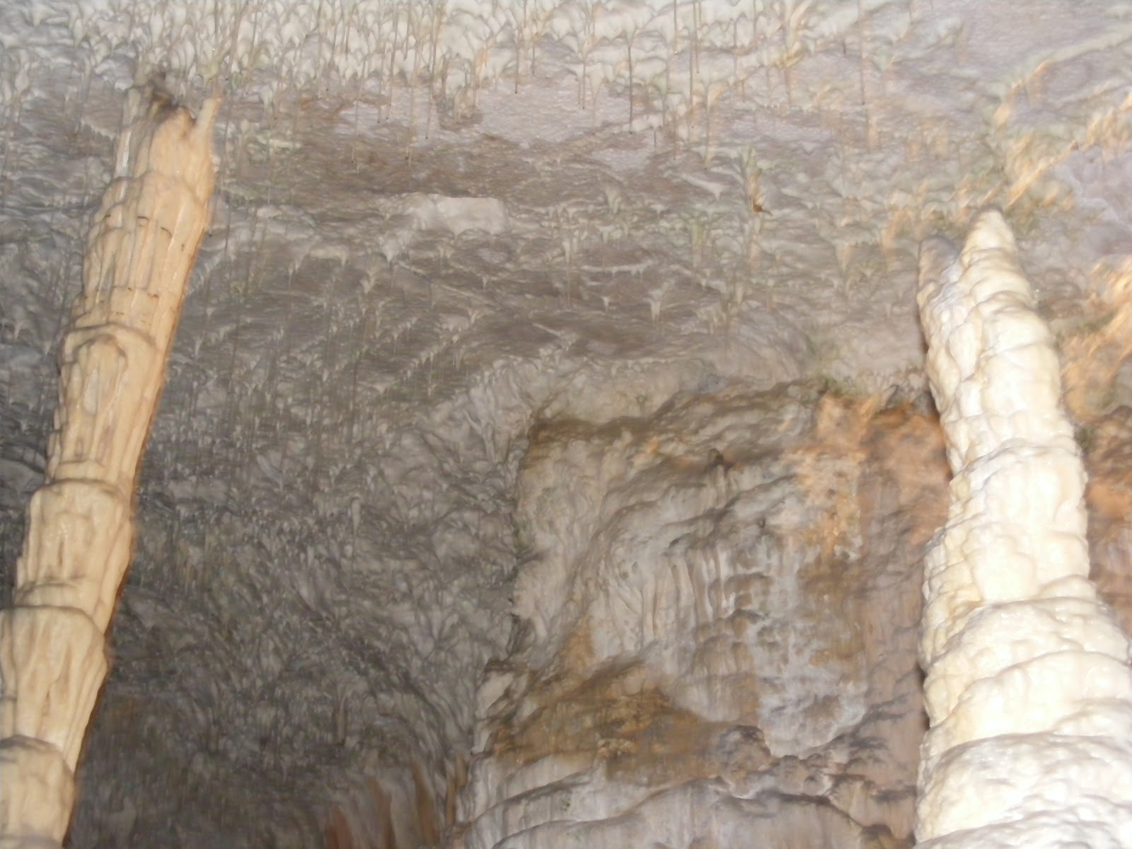 Gânduri anonime: Postojna, Slovenia, cea mai mare peșteră din Europa