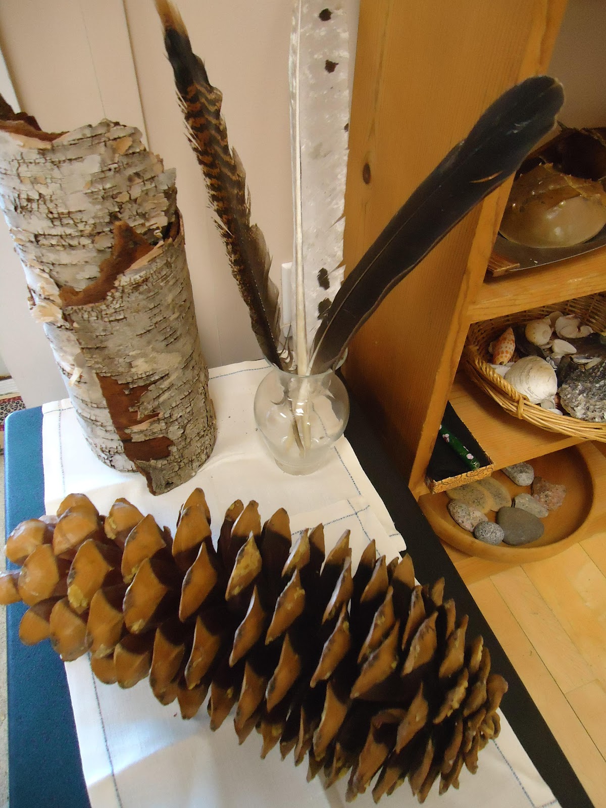 To the Lesson!: Nature Shelf Corner