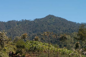 Jalur Pendakian Gunung Butak Malang,Keindahan Sabana Gunung Butak (2868 ...