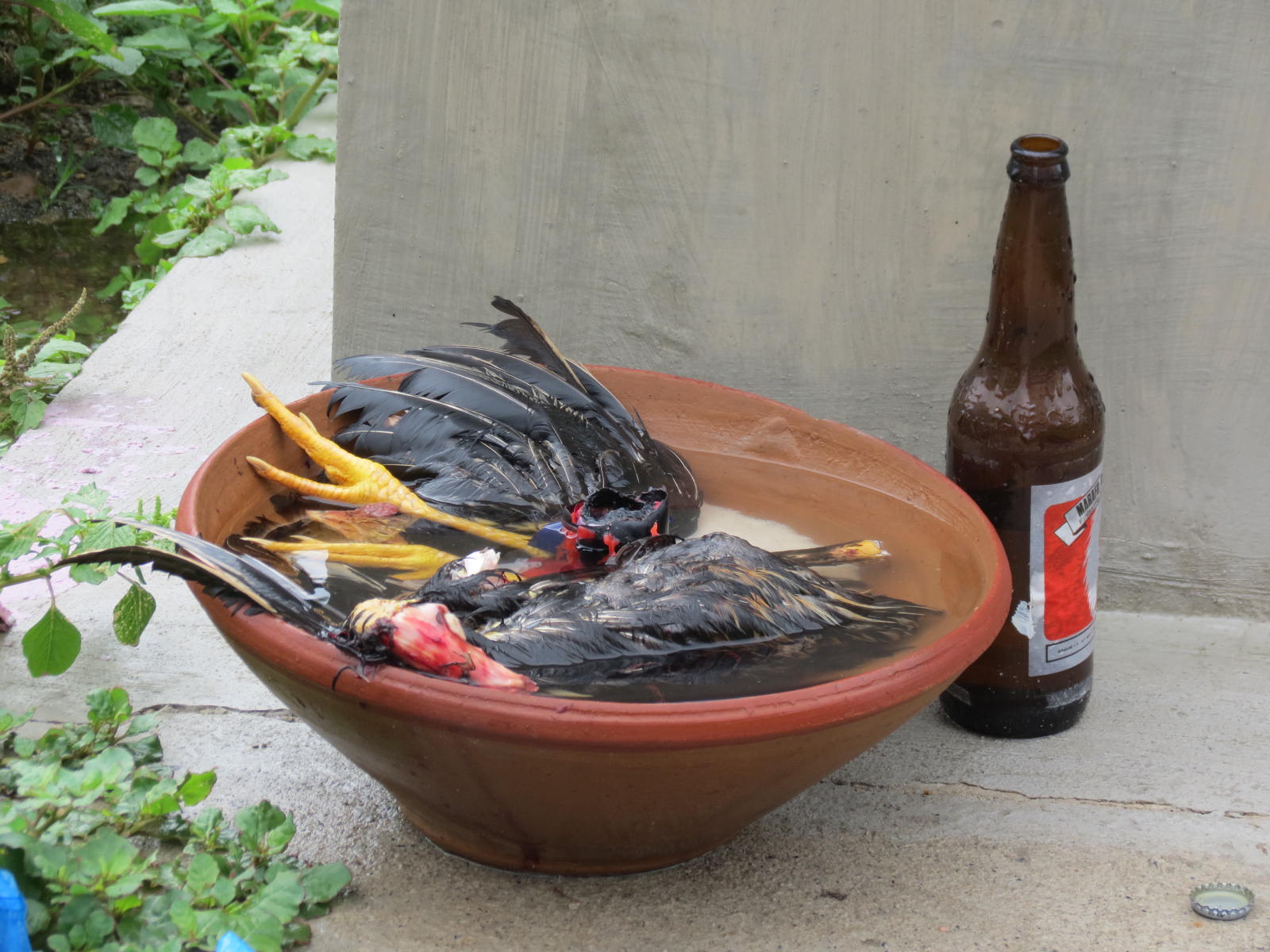 Branquinho Notícias: QUEM É O PAI DE SANTO?? E A MACUMBA FOI PRA QUEM???